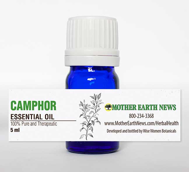 Camphor Essential Oil – Countryside