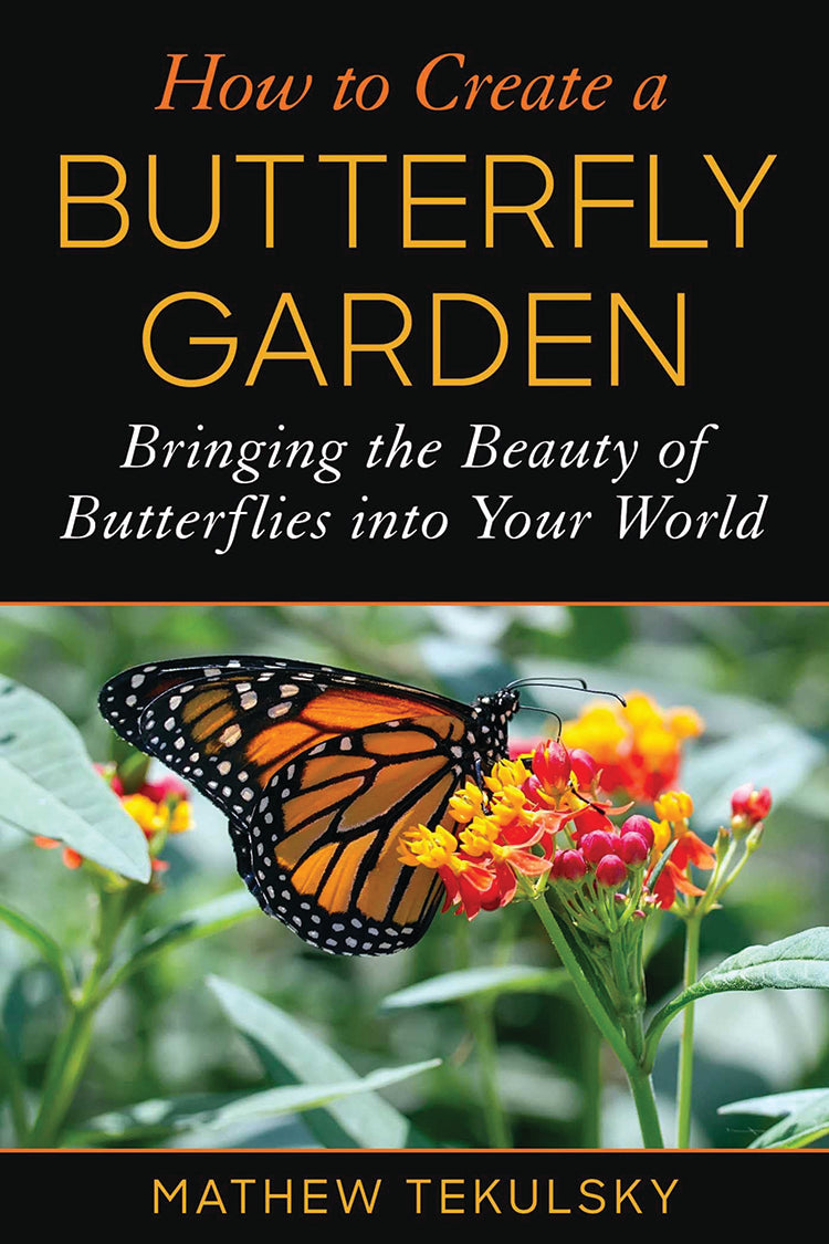 HOW TO CREATE A BUTTERFLY GARDEN – Countryside