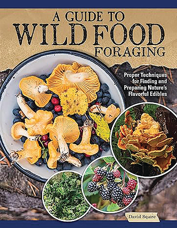 A Guide To Wild Food Foraging – Countryside