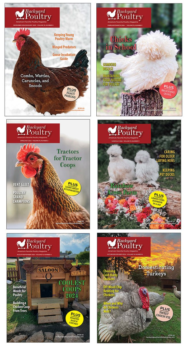 Backyard Poultry Back Issue Bundle 2024 – Countryside