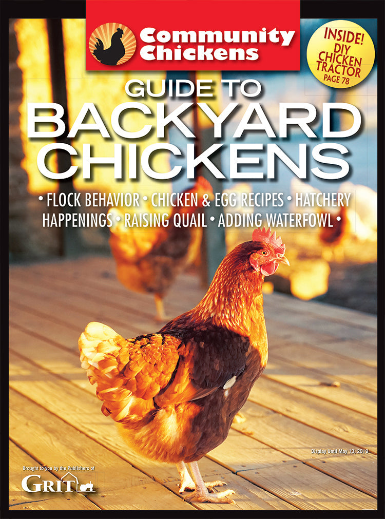 COMMUNITY CHICKENS GUIDE TO BACKYARD CHICKENS, 1ST EDITION – Countryside