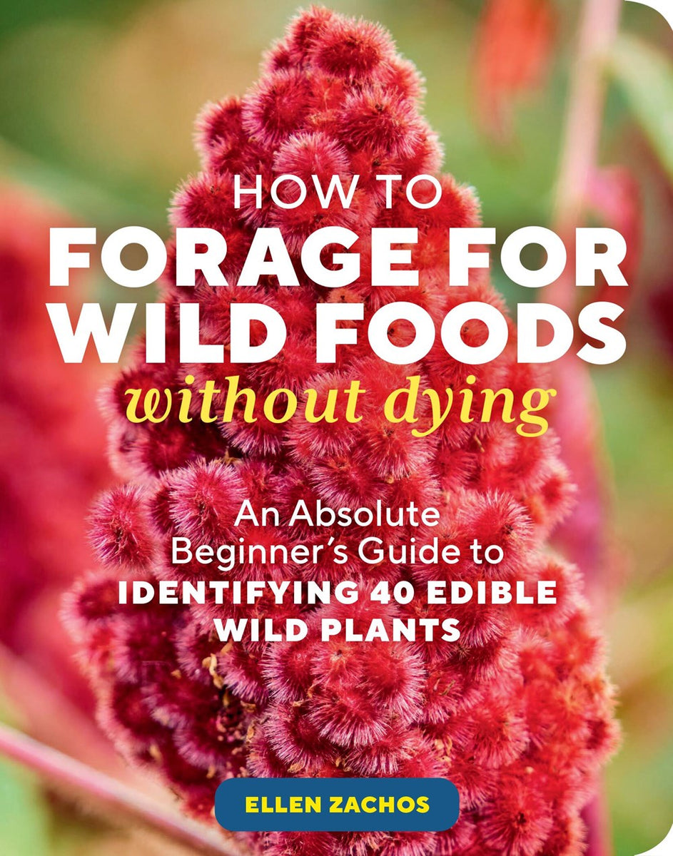 HOW TO FORAGE FOR FOODS WITHOUT DYING – Countryside