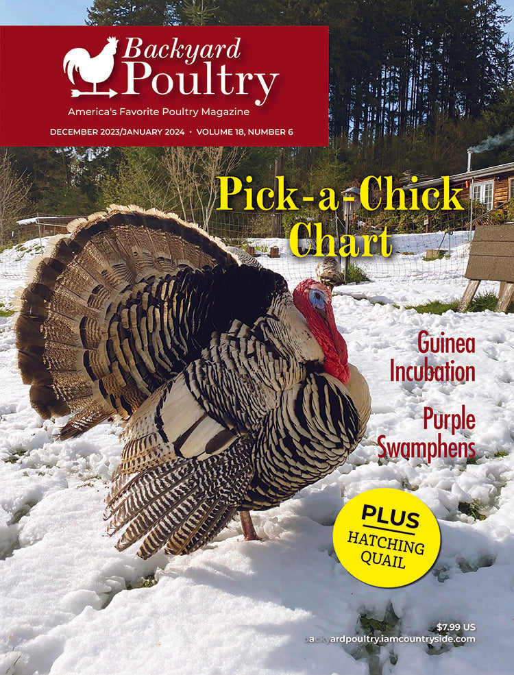 Backyard Poultry Magazine, December 2023/January 2024 – Countryside