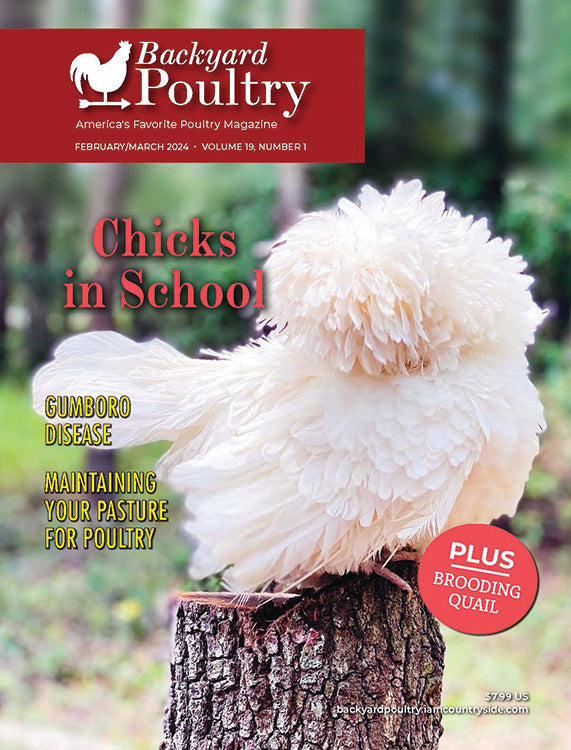 Backyard Poultry Magazine, February/March 2024 – Countryside