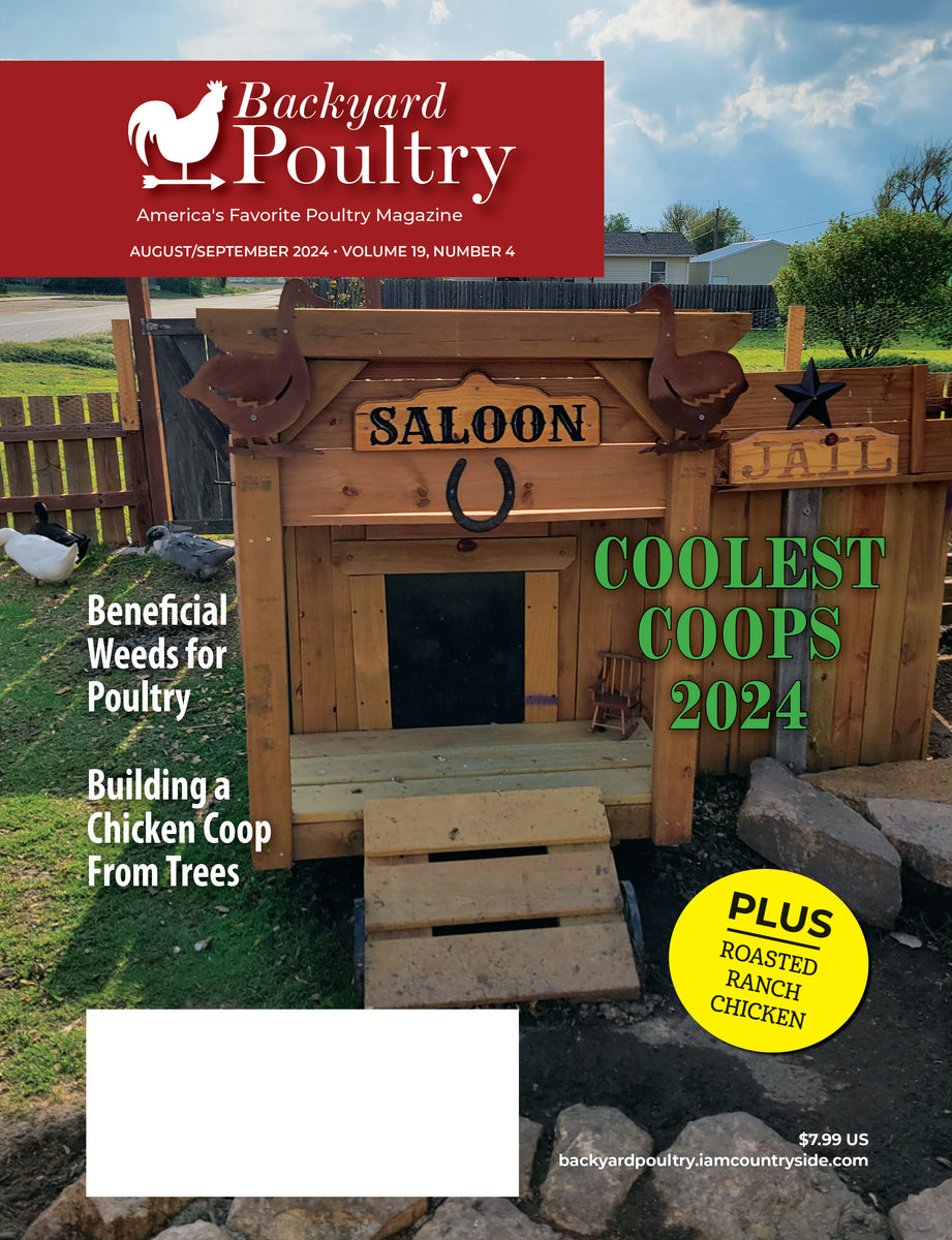 BACKYARD POULTRY MAGAZINE, AUGUST/SEPTEMBER 2024 – Countryside