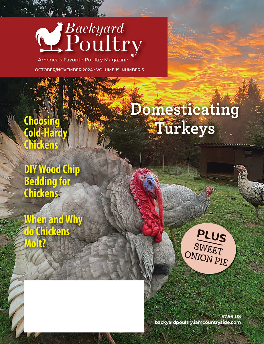 Backyard Poultry Magazine, October/November 2024 – Countryside