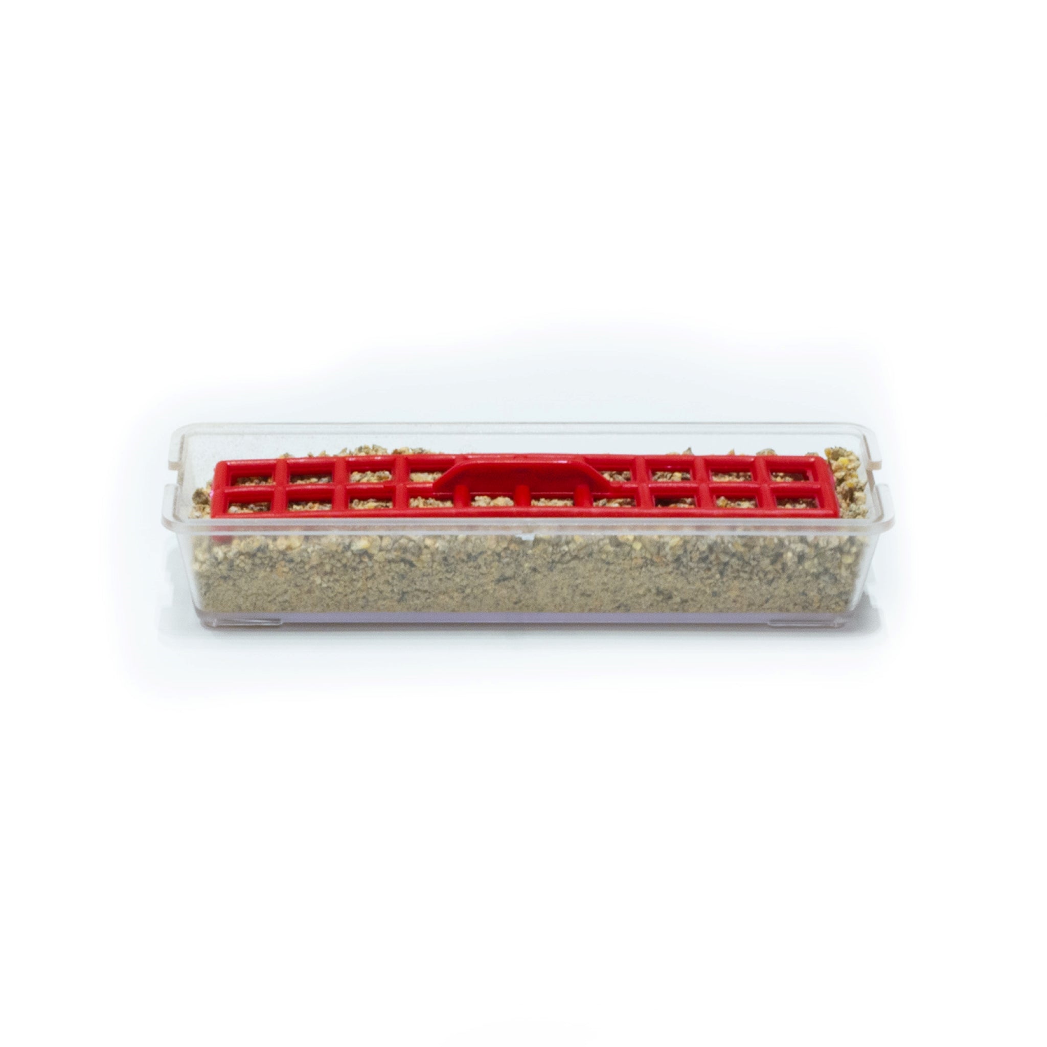 Baby Chick Starter Feeder – Countryside