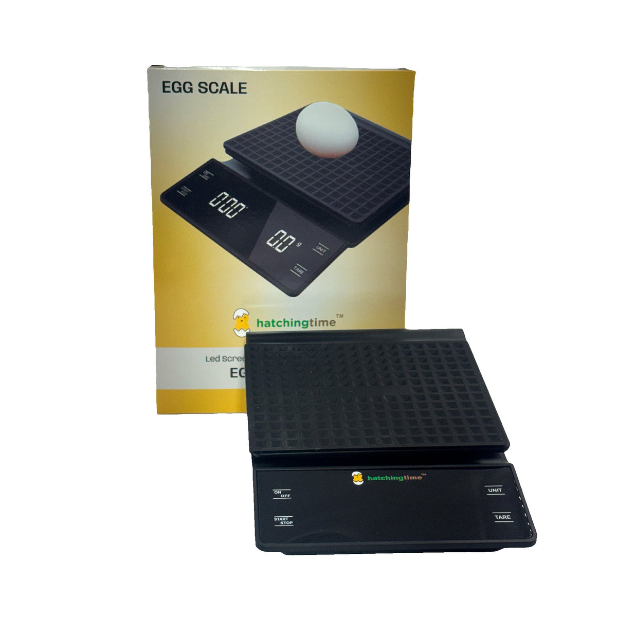 Digital Egg & Kitchen Scale - 6.6 lb Capacity – Countryside