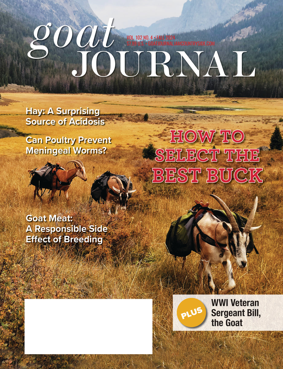 Goat Journal Magazine, Fall 2024 – Countryside