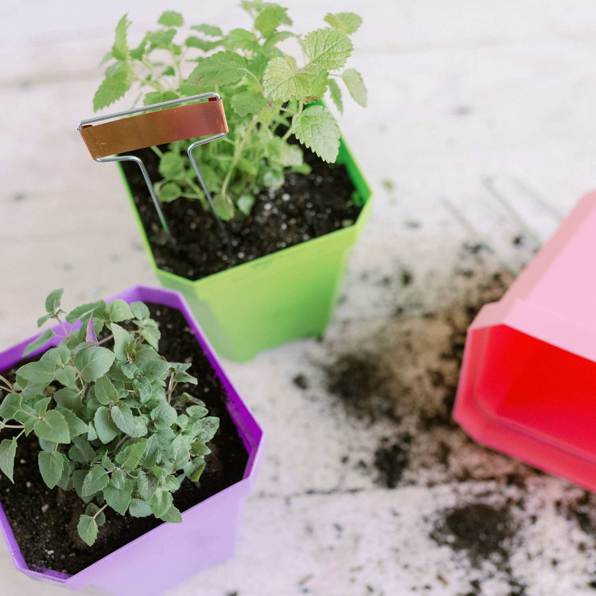 5" Nursery Pots with Insert Tray – Countryside