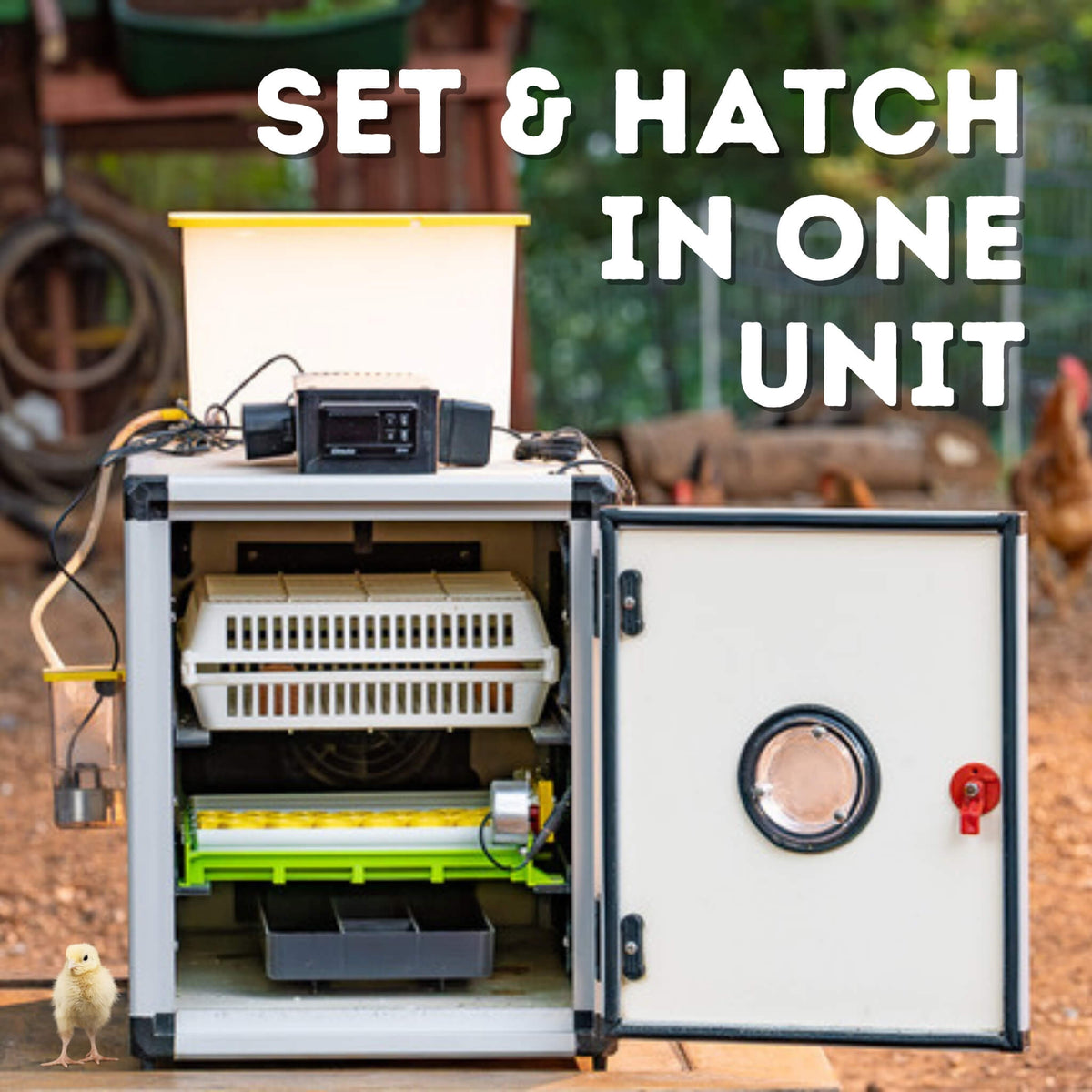 CT60 SH - Egg Incubator - Setter & Hatcher – Countryside