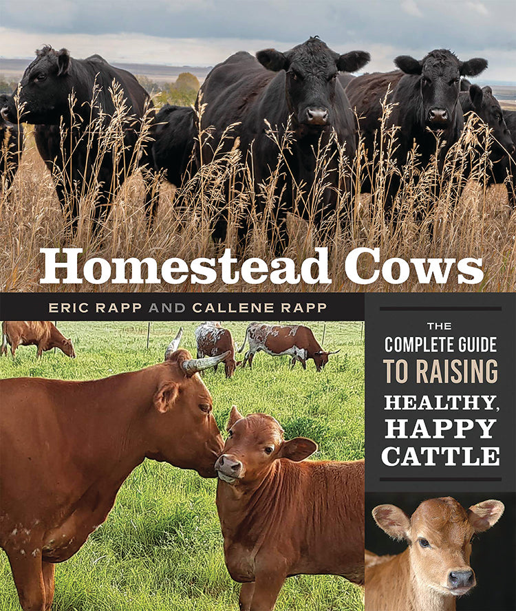 Homestead Cows – Countryside