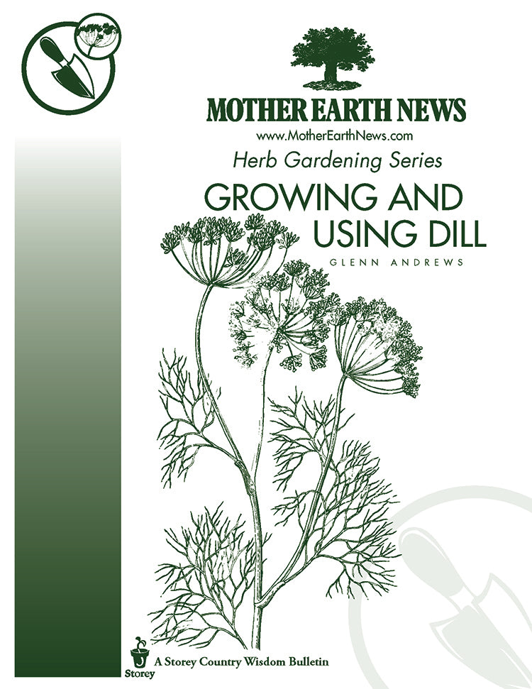 GROWING AND USING DILL, E-HANDBOOK – Countryside