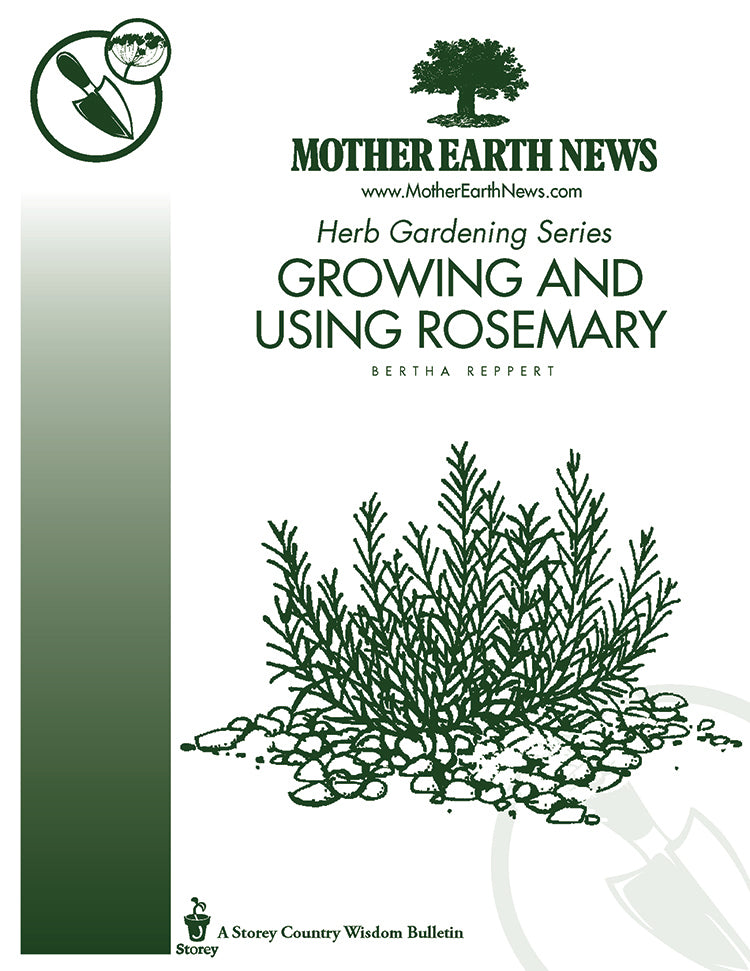 Growing And Using Rosemary, E-Handbook – Countryside